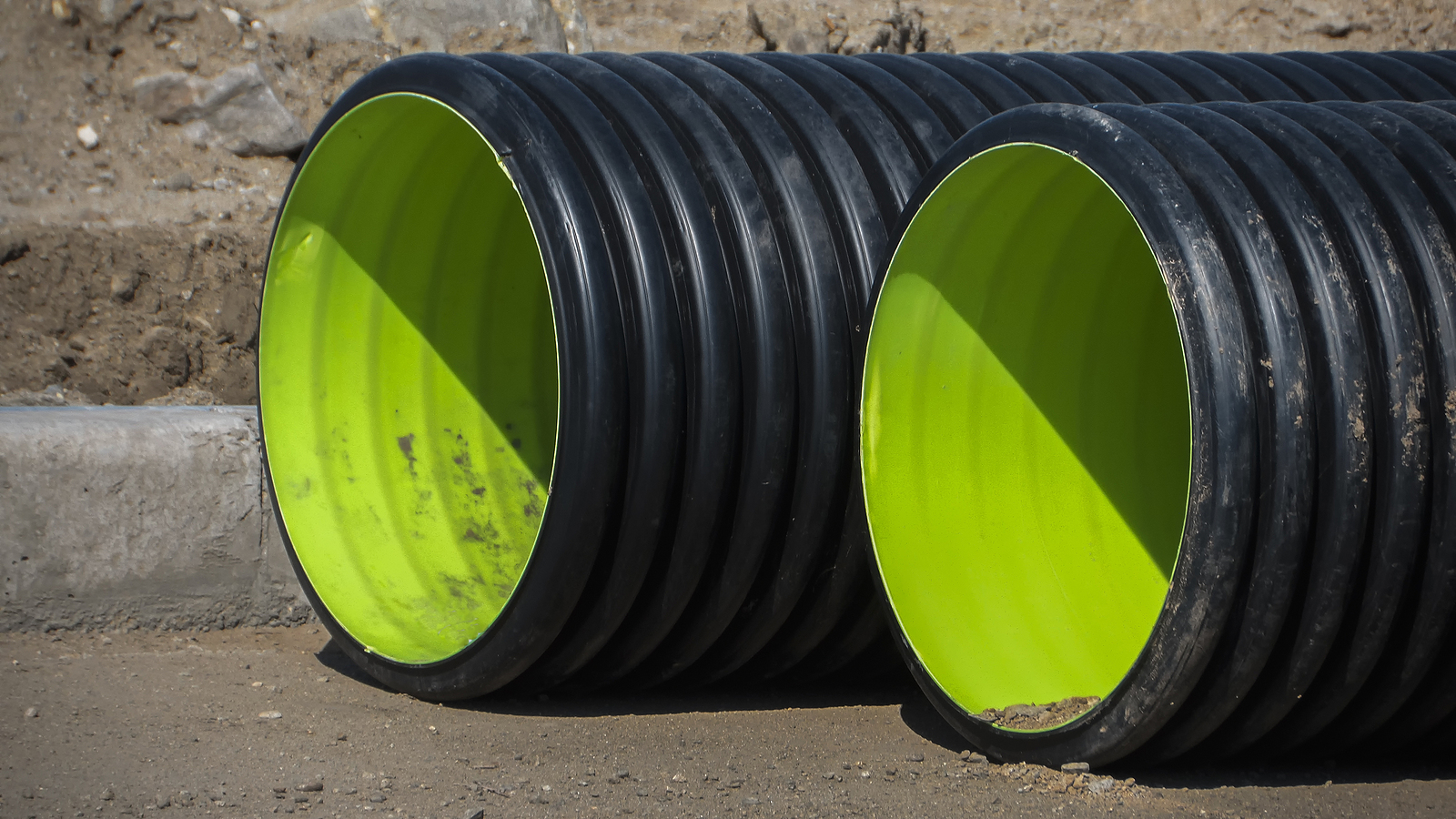 What is a Bat Valve and How Does it Prevent Bat Infestations ...